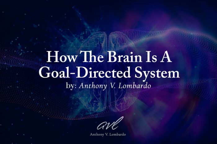 Reticular Activating System And Manifesting | Ultimate Guide