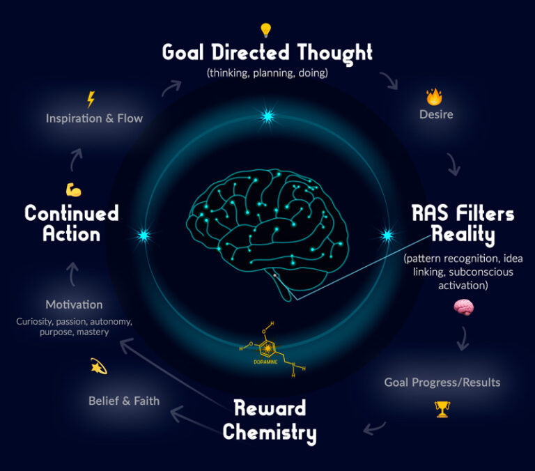 Reticular Activating System And Manifesting | Ultimate Guide
