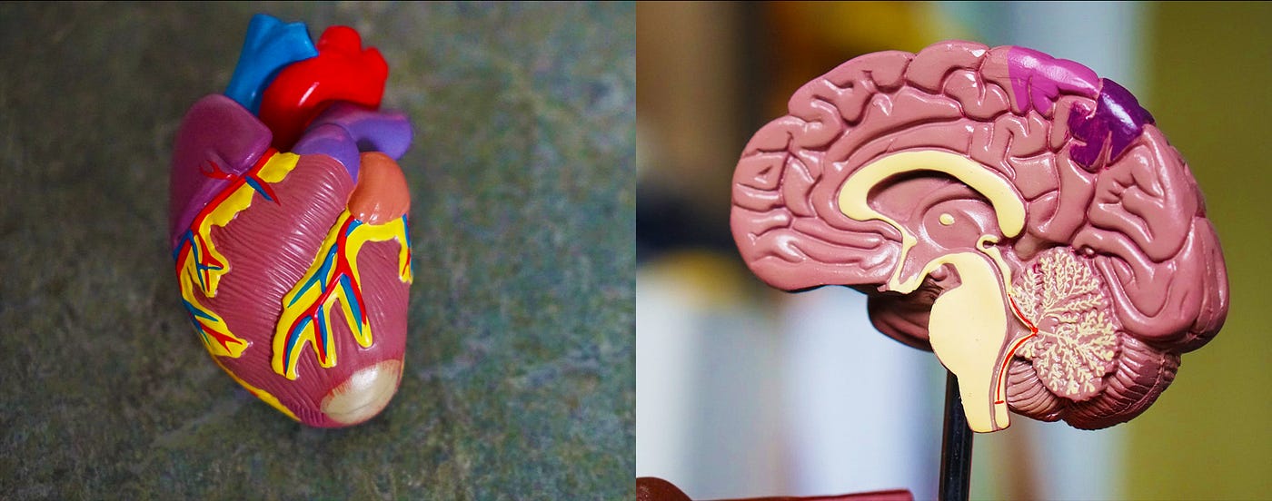 Ultimate Guide to Heart Coherence: 1-Minute Stress Relief